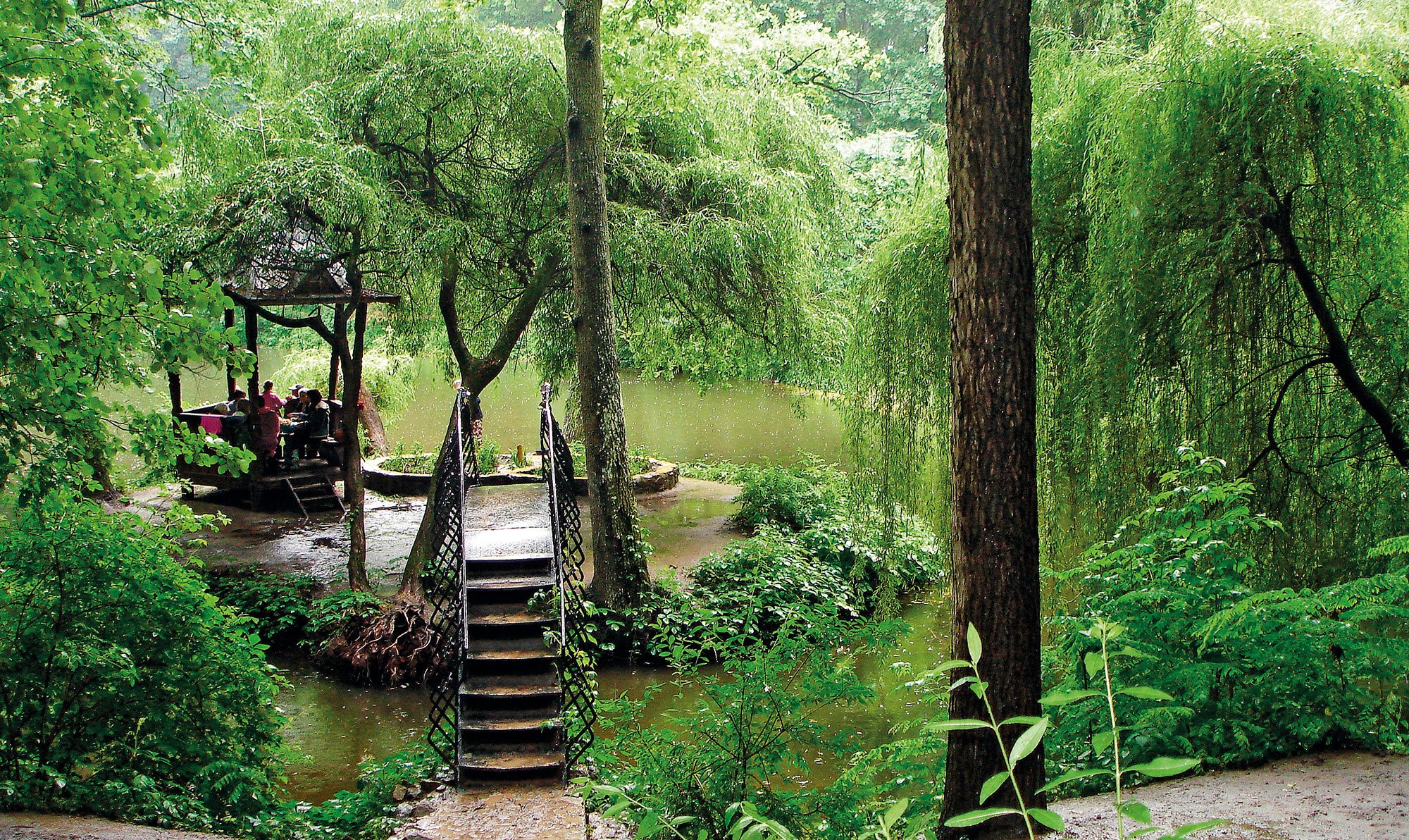 Natural objects and reserves - «Krasnokutsky arboretum» - 10 ...