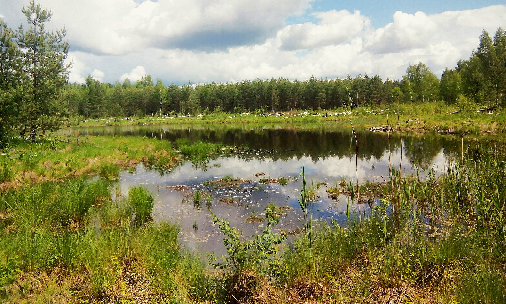 Natural objects and reserves - «National Nature Park "Slobozhansky ...